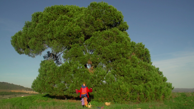 Participative Art - Natalia Lis