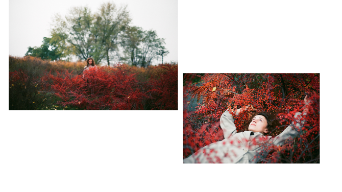 Analog Photography - Natalia Lis