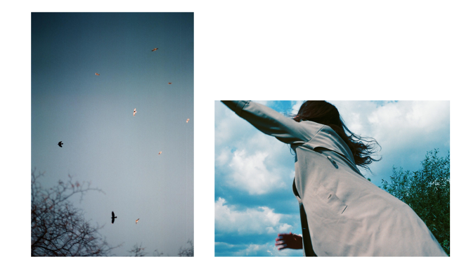 Analog Photography - Natalia Lis