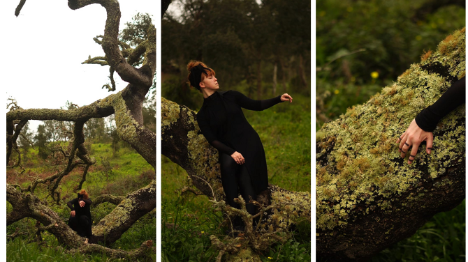 Fruiting Bodies - Natalia Lis