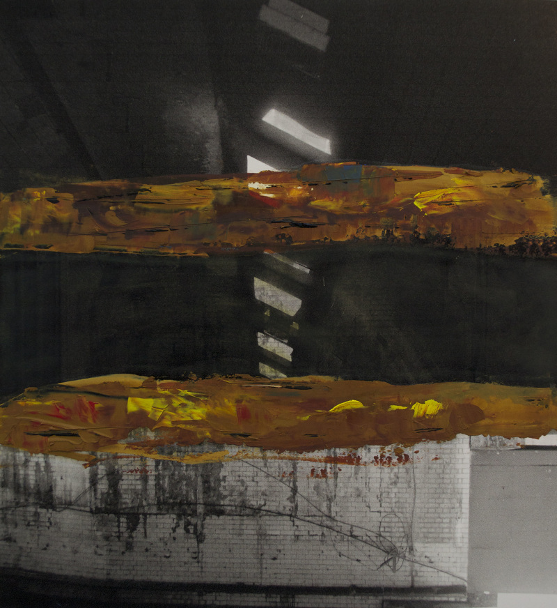 Overpainting Photography - Clara Dias