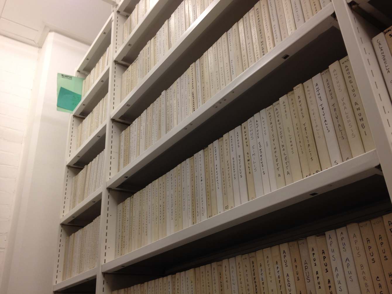 British Library Sound Archive - holoherz