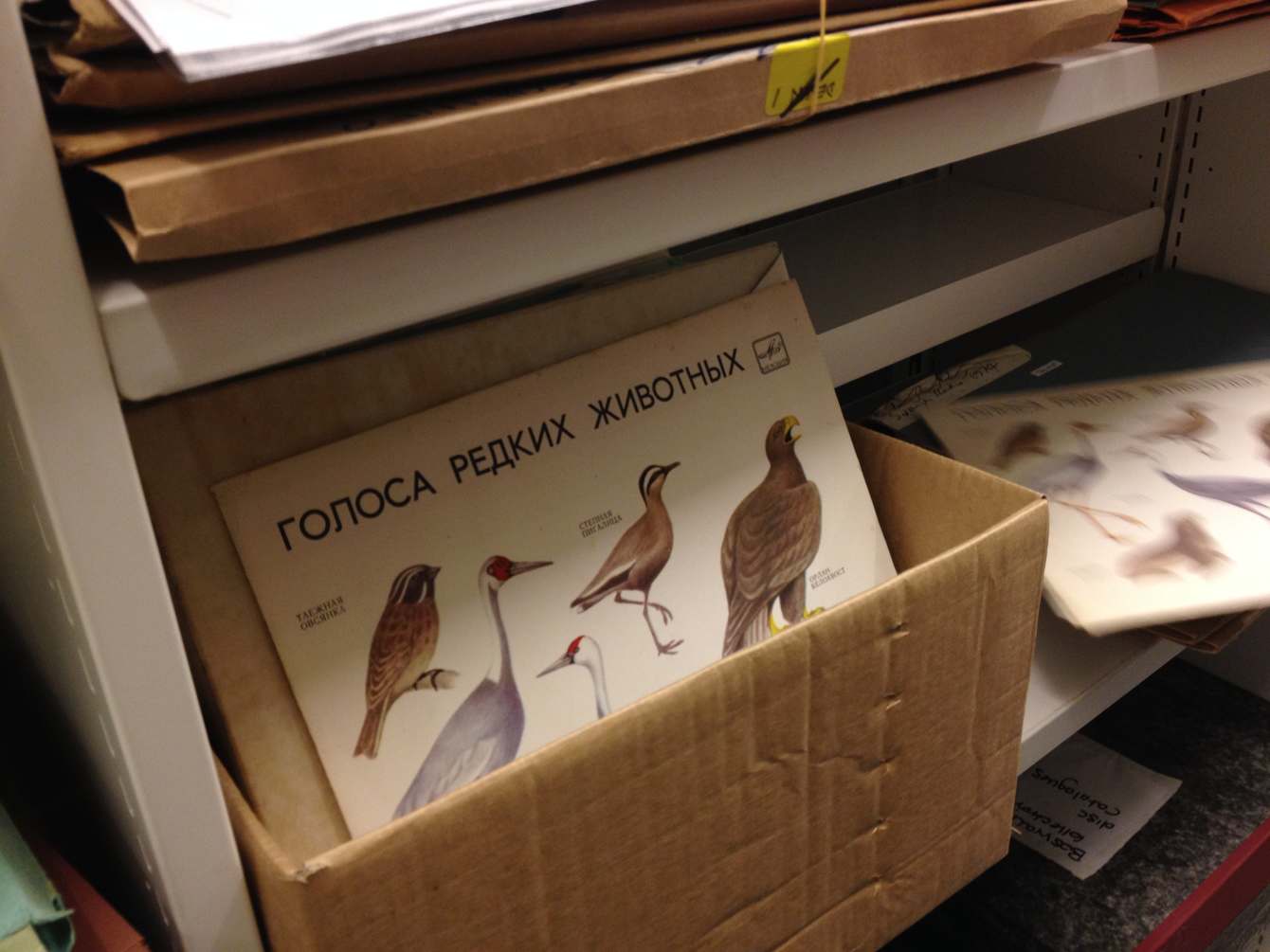 British Library Sound Archive - holoherz