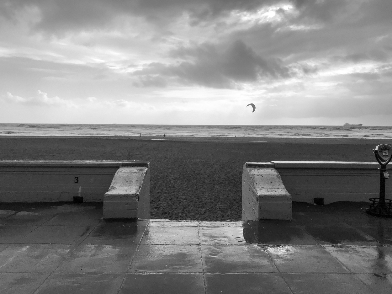 California - Madi Murphy