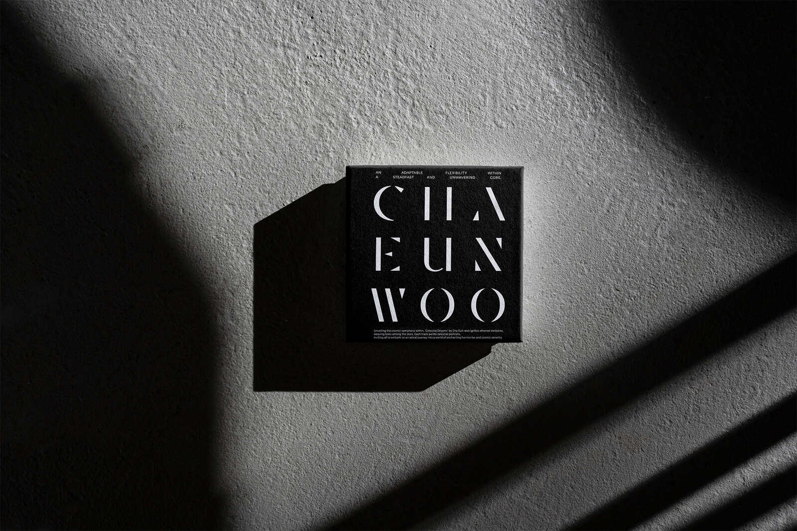 [ALBUM DESIGN] ENTITY by CHA EUN-WOO - sparks edition