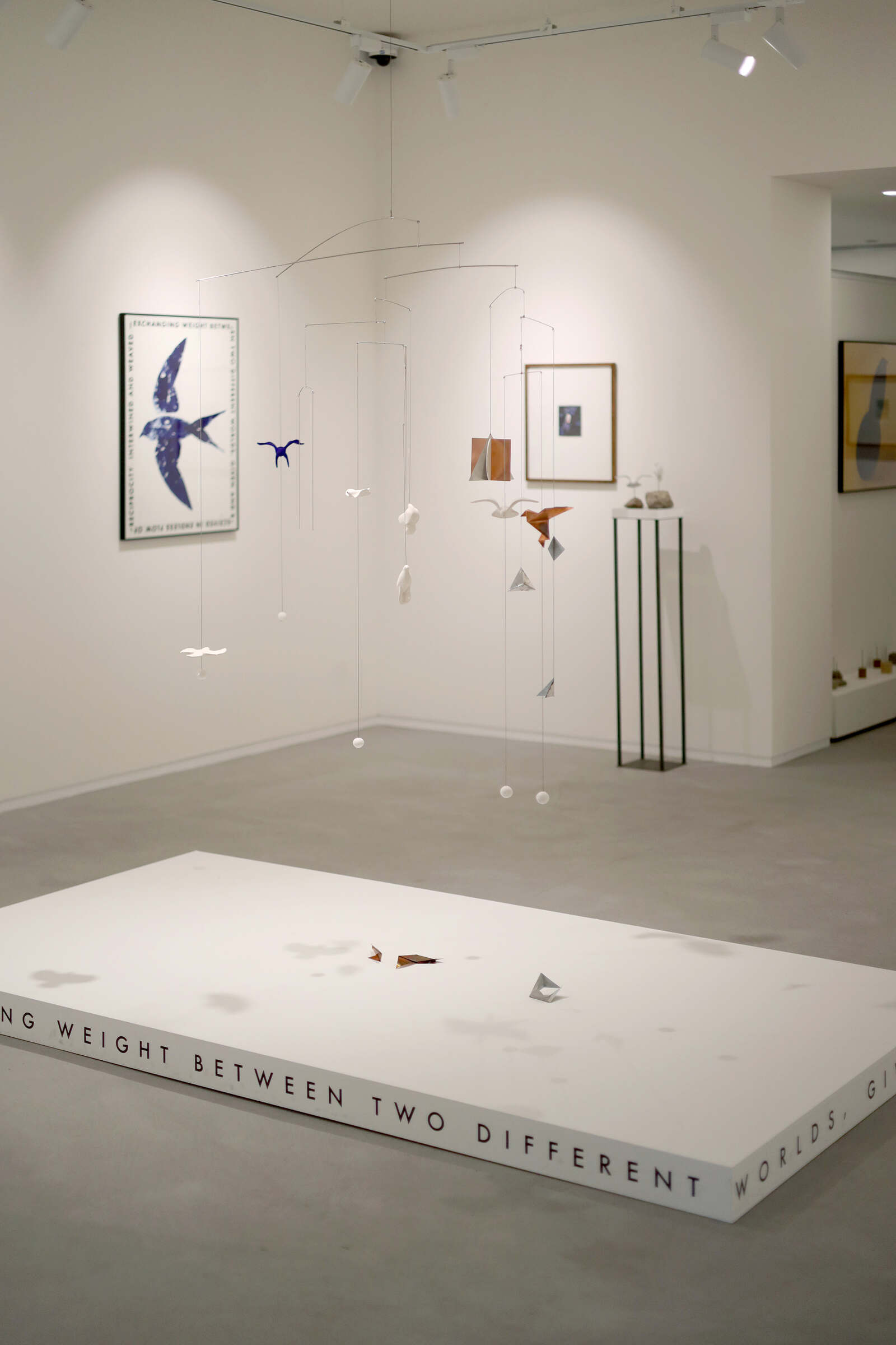 [EXHIBITION] Jang Joon-oh & Lee Kyu-tae 'LIGHT & LIGHT' Exhibition ...