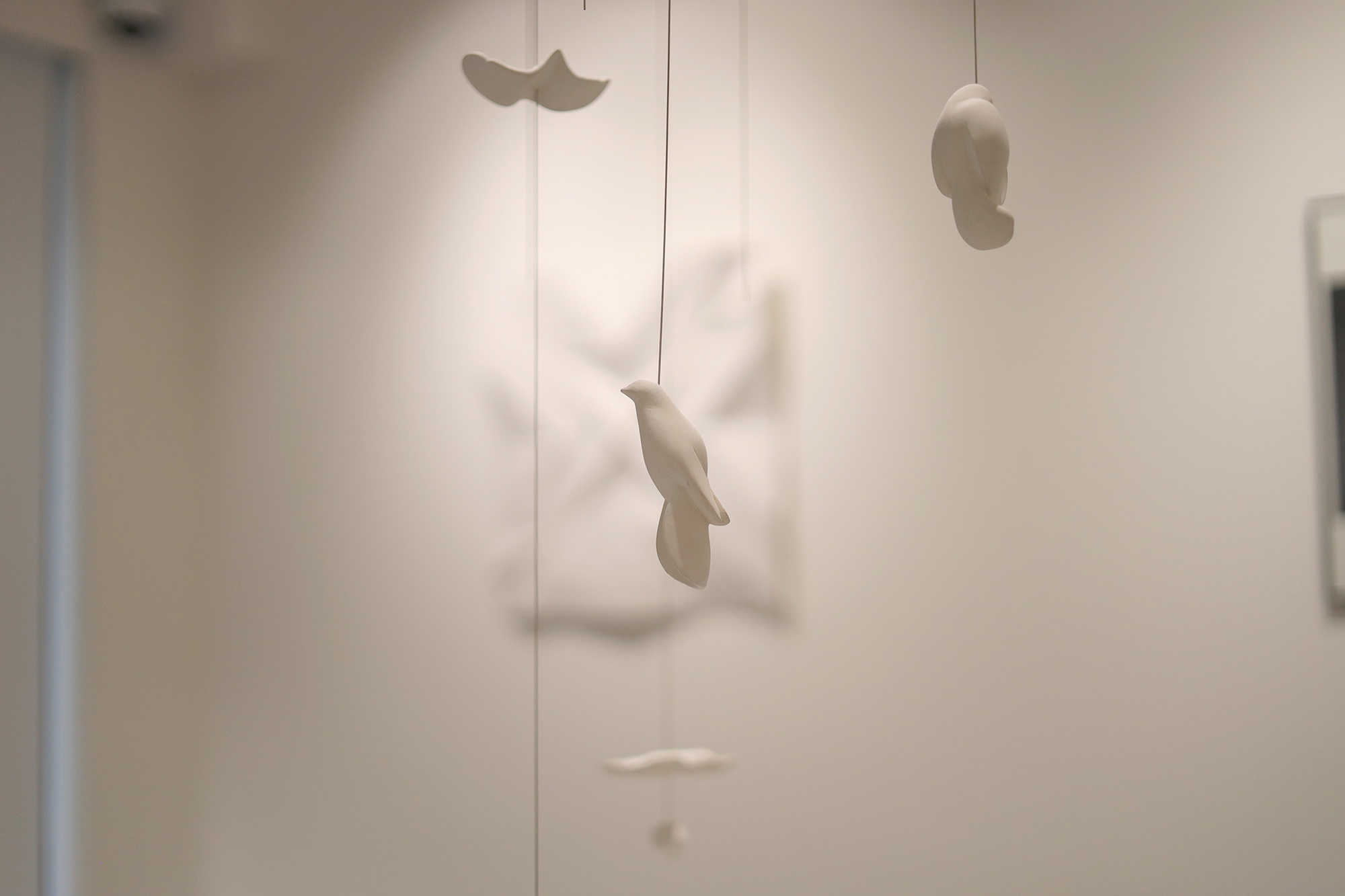 [EXHIBITION] Jang Joon-oh & Lee Kyu-tae 'LIGHT & LIGHT' Exhibition ...