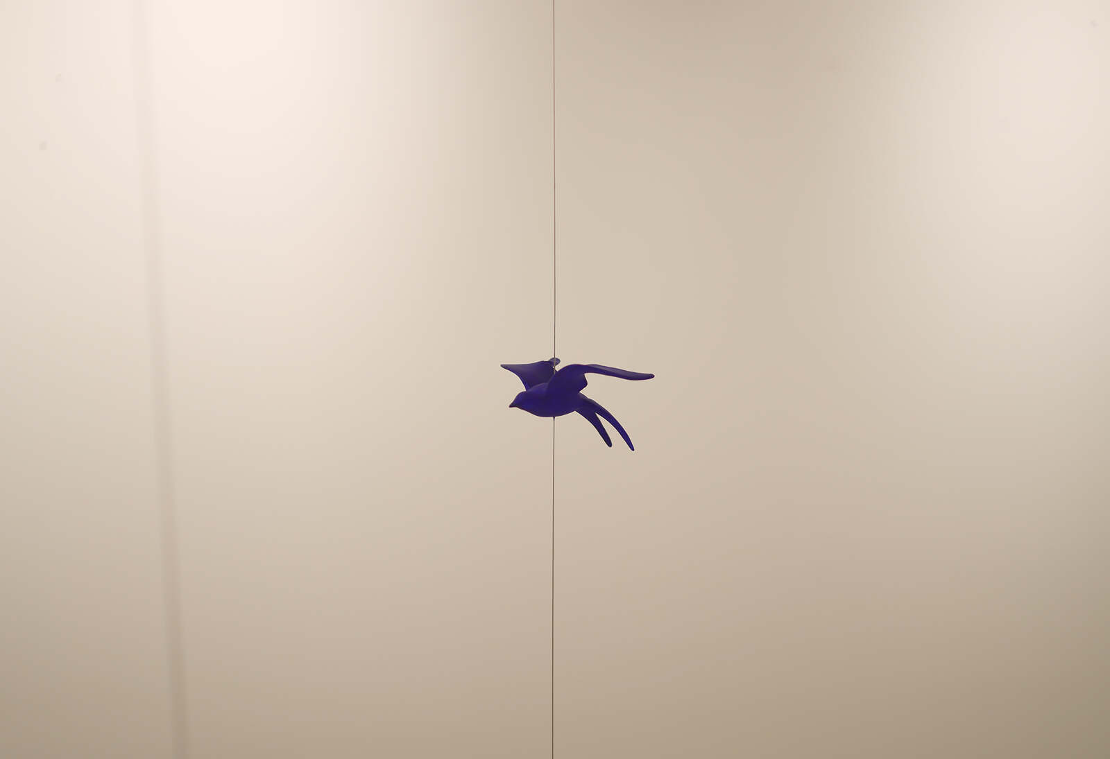 [EXHIBITION] Jang Joon-oh & Lee Kyu-tae 'LIGHT & LIGHT' Exhibition ...