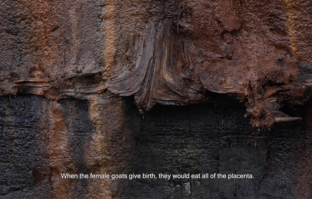 Spring Water, Fault, Body (2021) - www.hanaeutamura.com