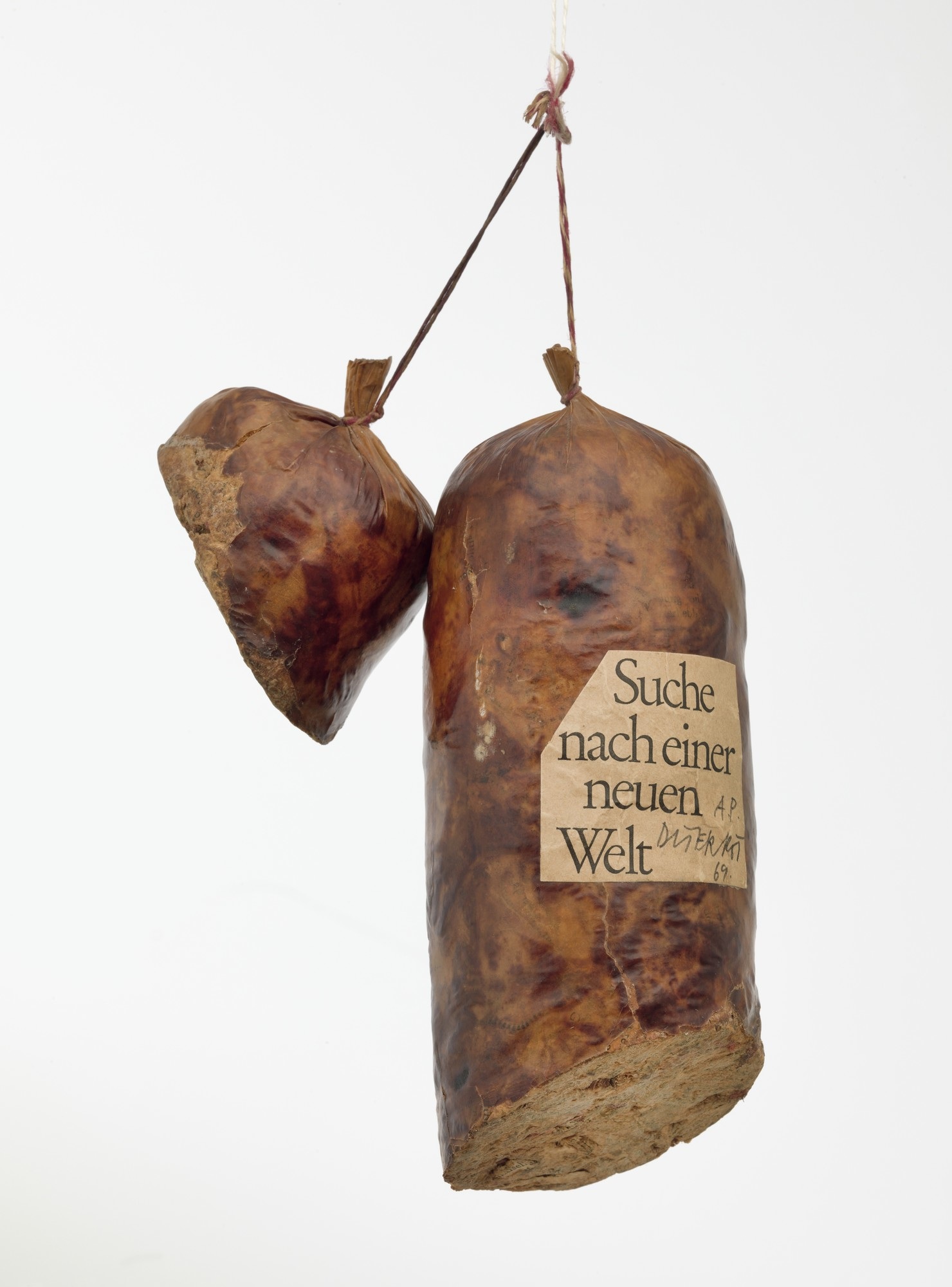 Dieter Roth, Literaturwurst (Literature Sausage) 1961-1974 - 捉摸