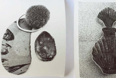 Fiona Beveridge