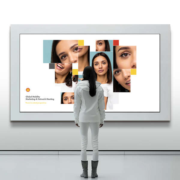 Shell - Conference VI and 3D - Henry Gray