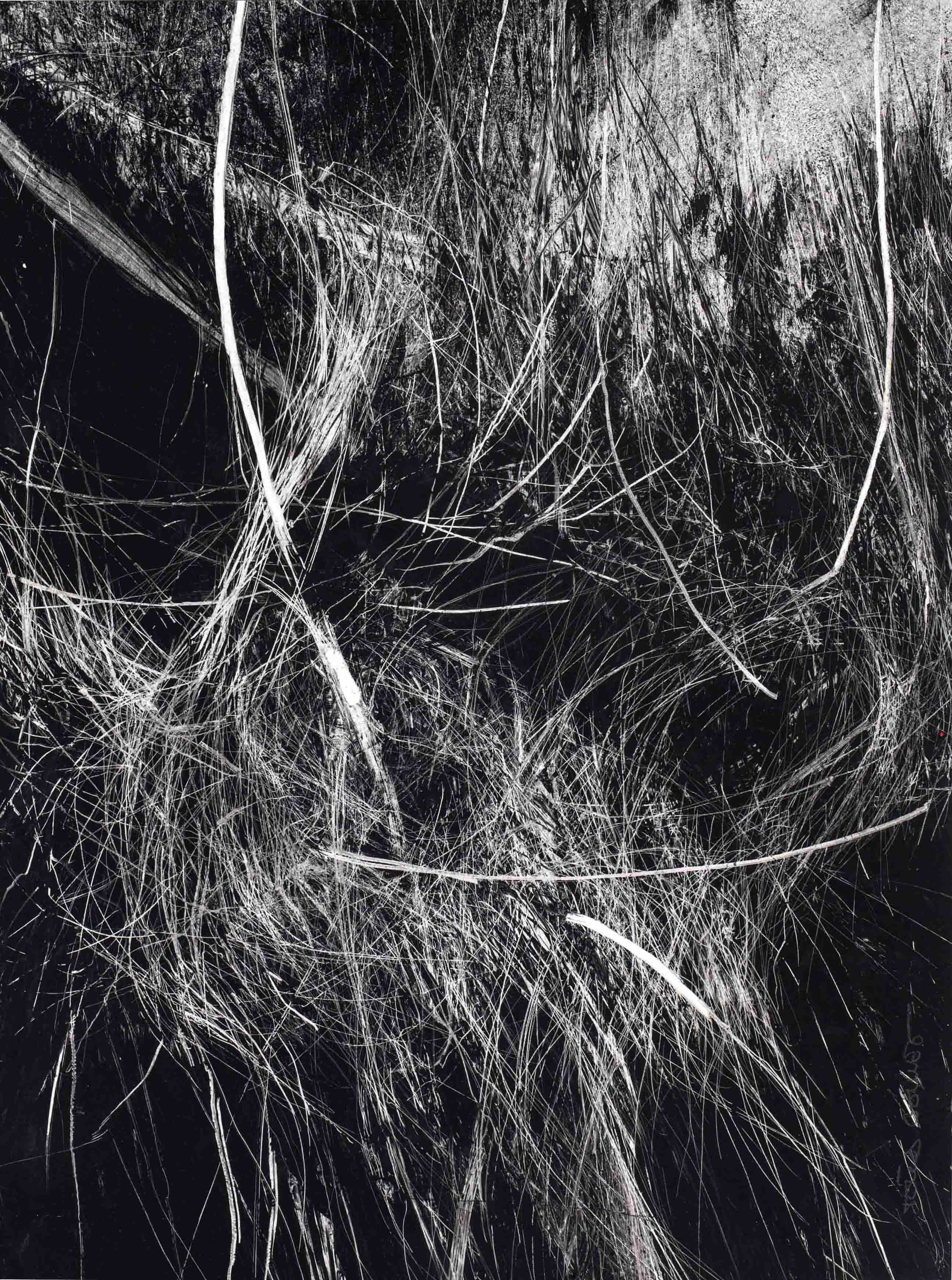 broza_30x40cm - http://www.toñagomez.es