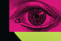 Belmont Revisited - anne masters design