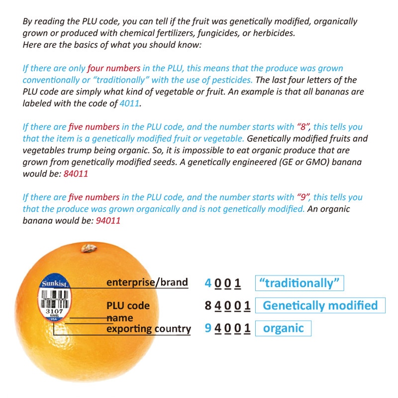 Label and identity - ou-momo