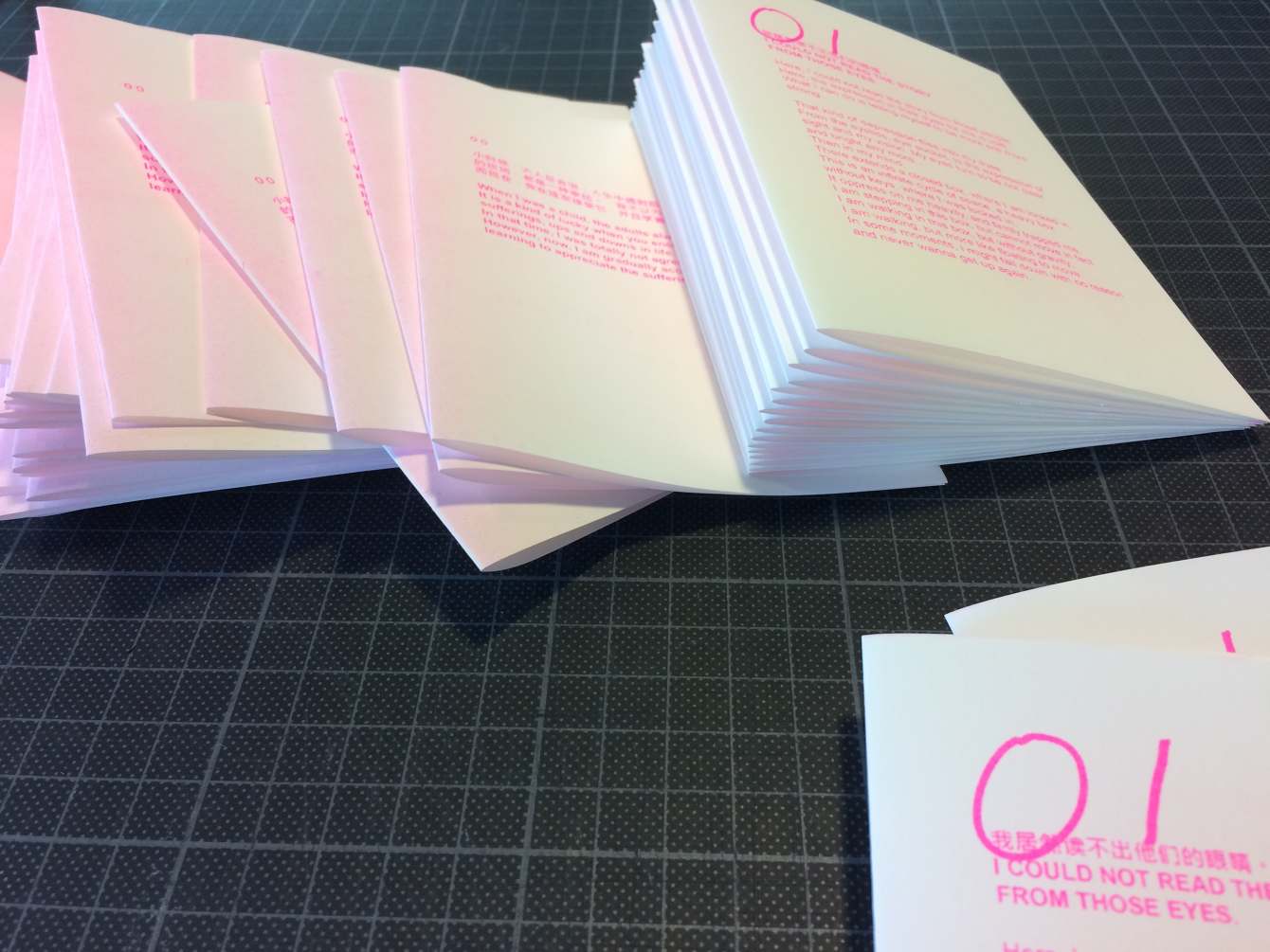 SELF-OBSERVATION DIARY - ou-momo