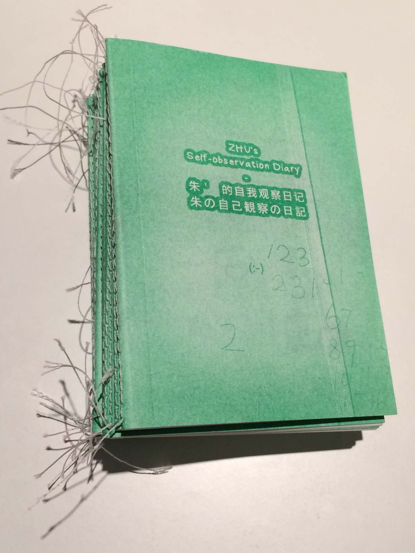 SELF-OBSERVATION DIARY - ou-momo