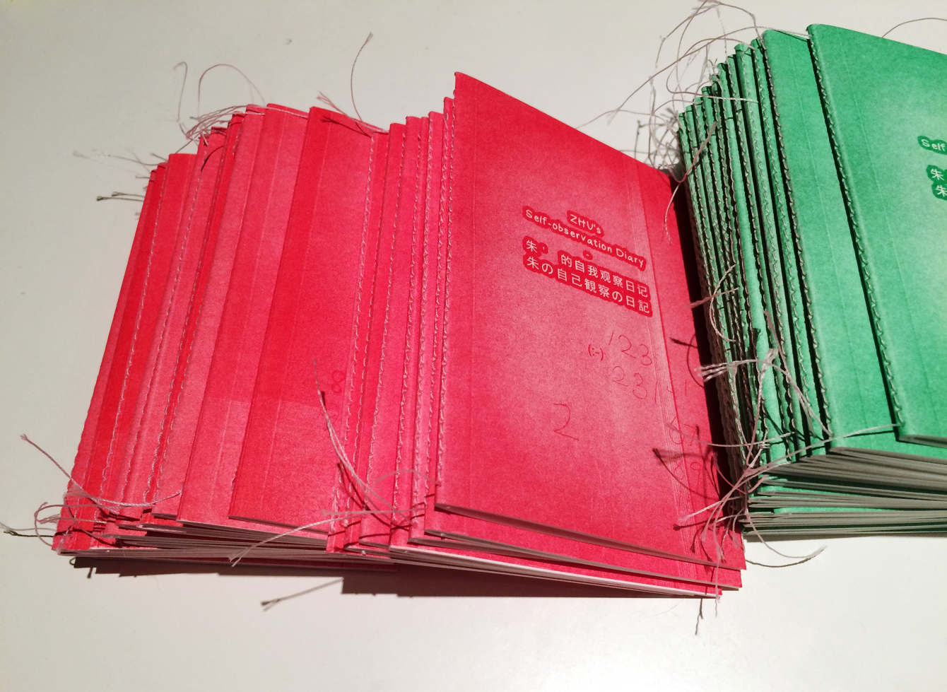 SELF-OBSERVATION DIARY - ou-momo