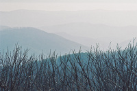 Split Perspectives - Scott Williams Photography