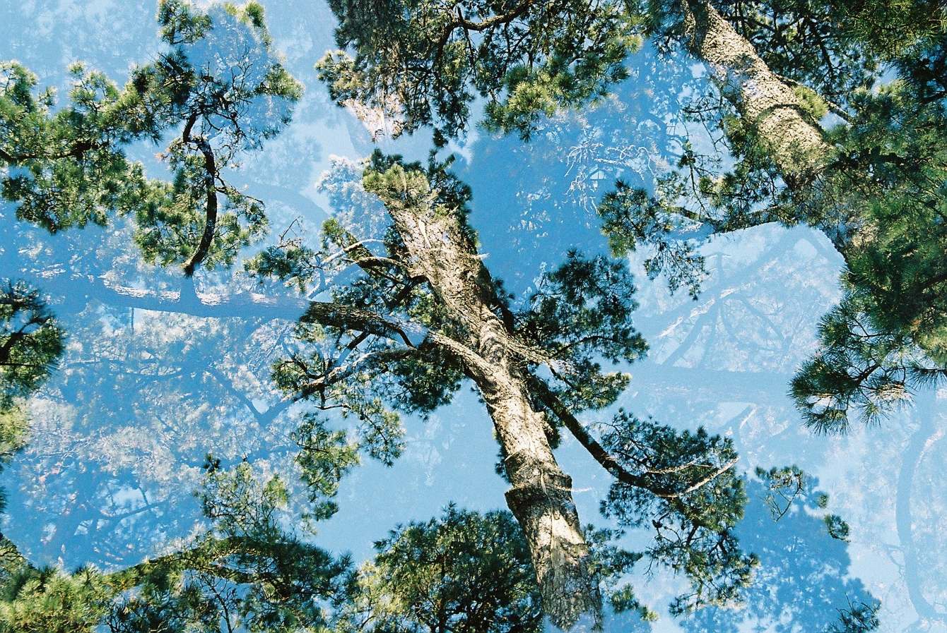 Split Perspectives - Scott Williams Photography