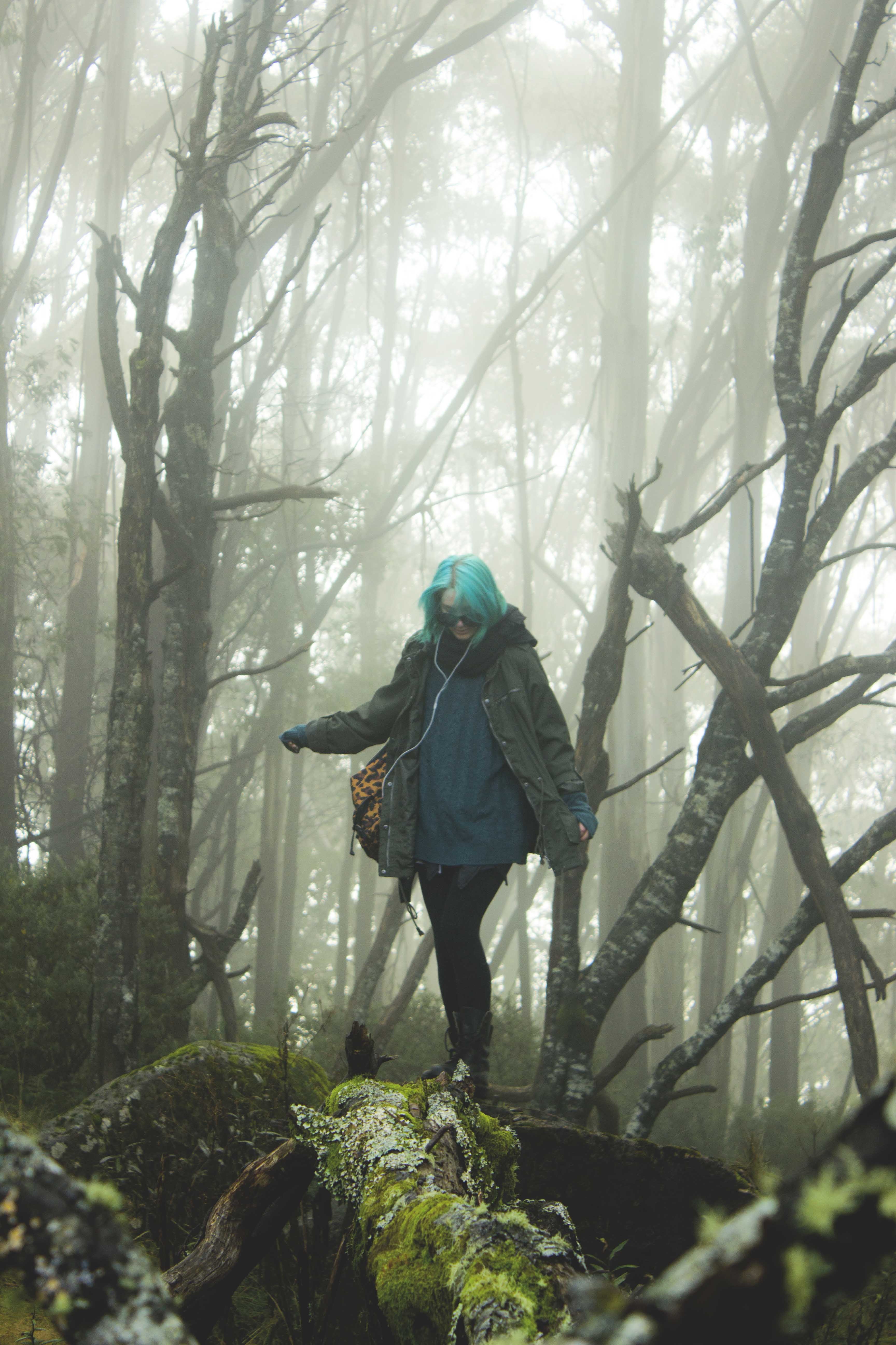 RMIT (Photo submissions - Scott Williams) - Scott Williams Photography