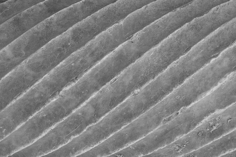 architexture - igpglandscapes