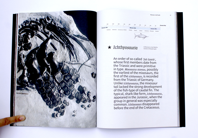 Curious Magazine - michalho