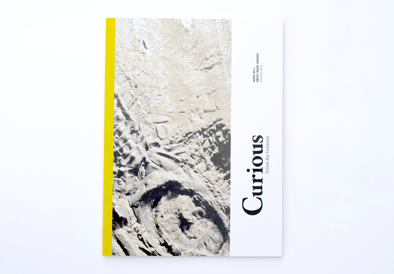 Curious Magazine - michalho