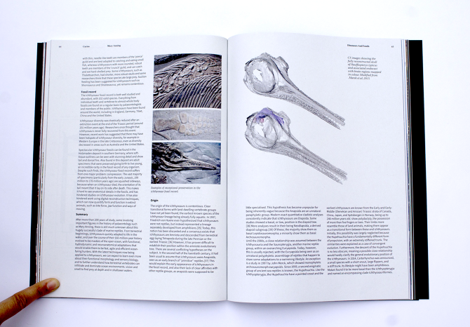 Curious Magazine - michalho