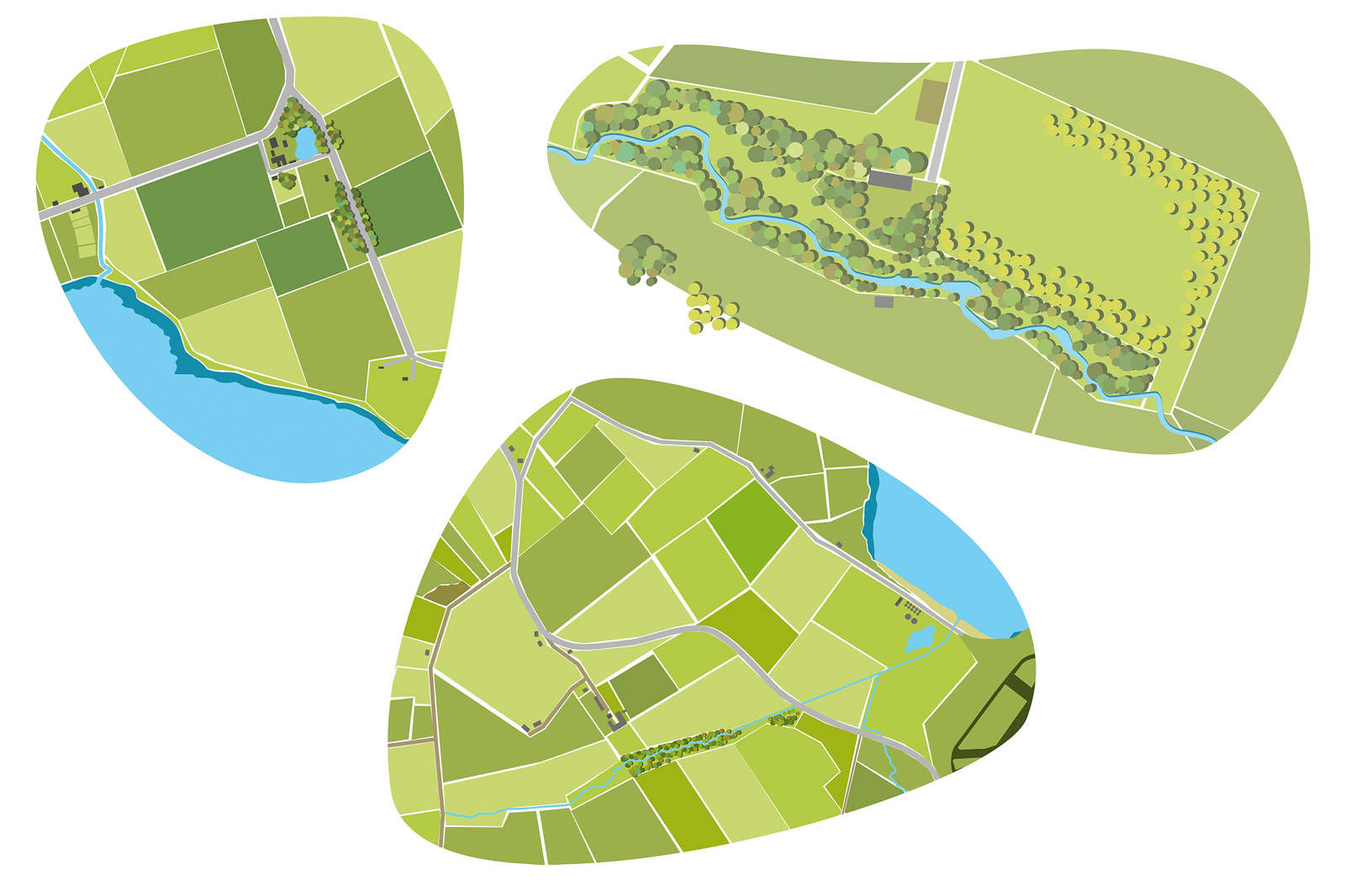 maps - Iain Ashman design + illustration
