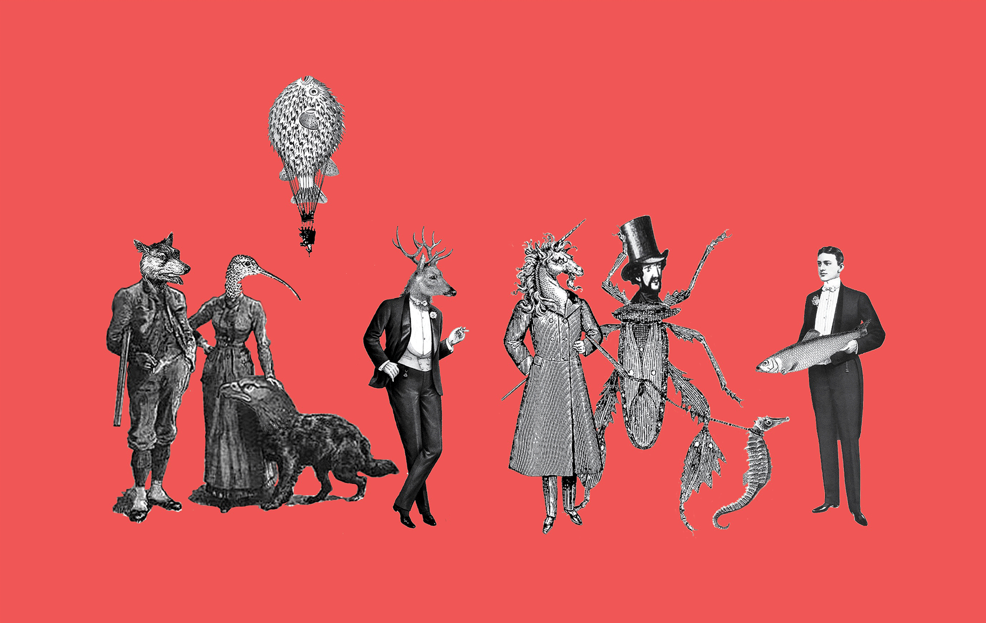 curious characters - Iain Ashman design + illustration