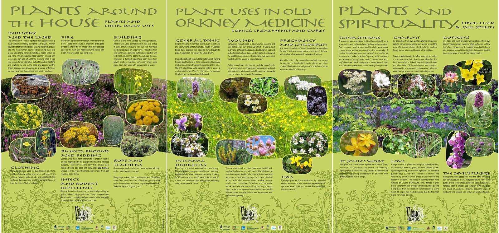 interpretation panels - Iain Ashman design + illustration