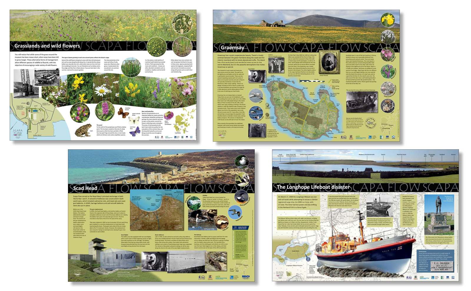 interpretation panels - Iain Ashman design + illustration