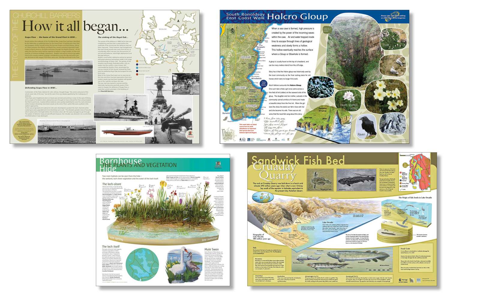 interpretation panels - Iain Ashman design + illustration