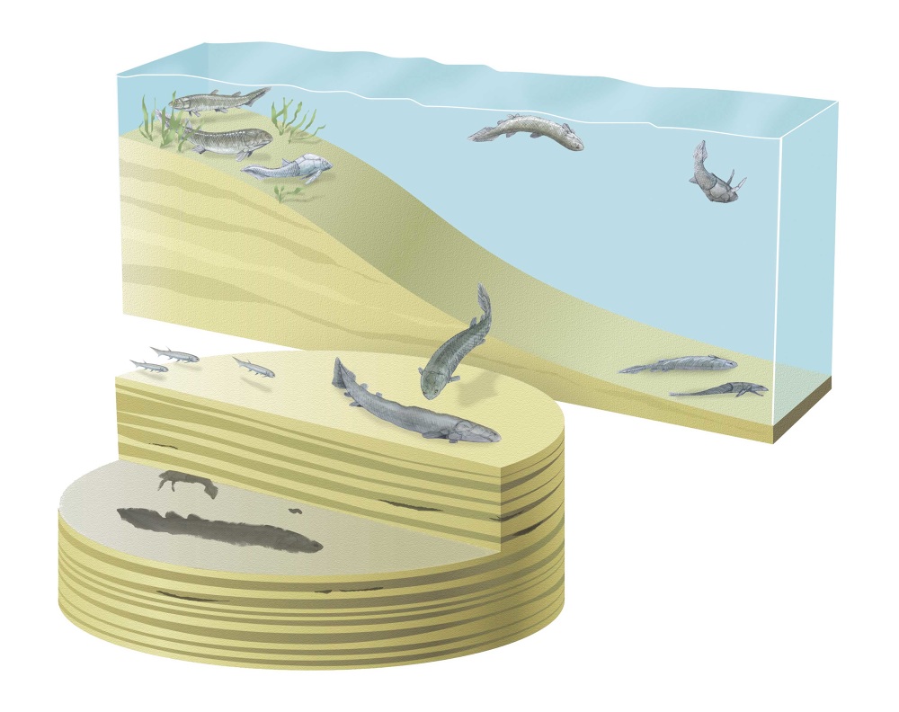 Lake Orcadie - Iain Ashman design + illustration