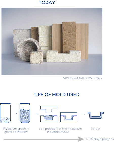 Mycelium Flexible Molds - paulacorralesportfolio