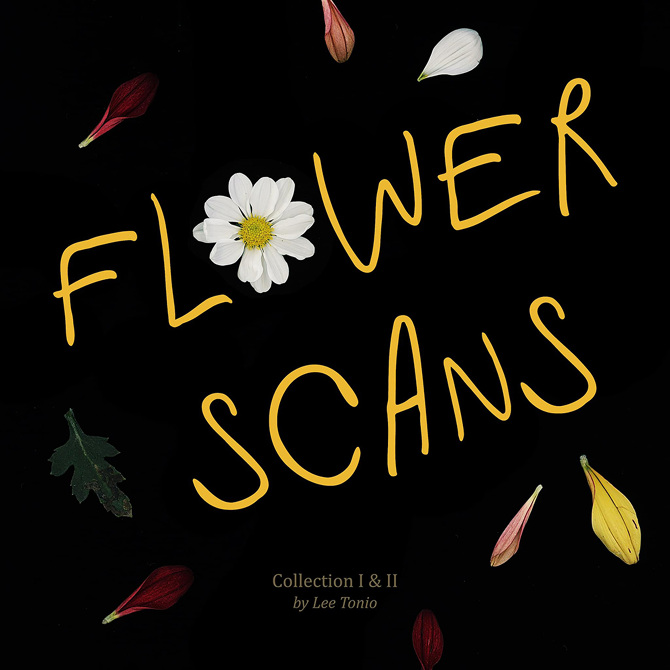 Flower Scans - My Dearest Maria,