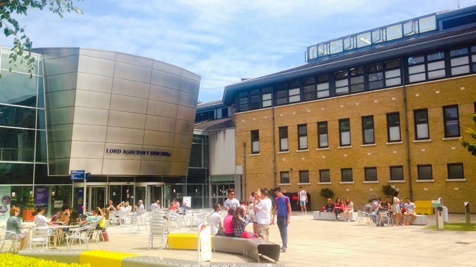 Campaigns - Hannah Gladwin