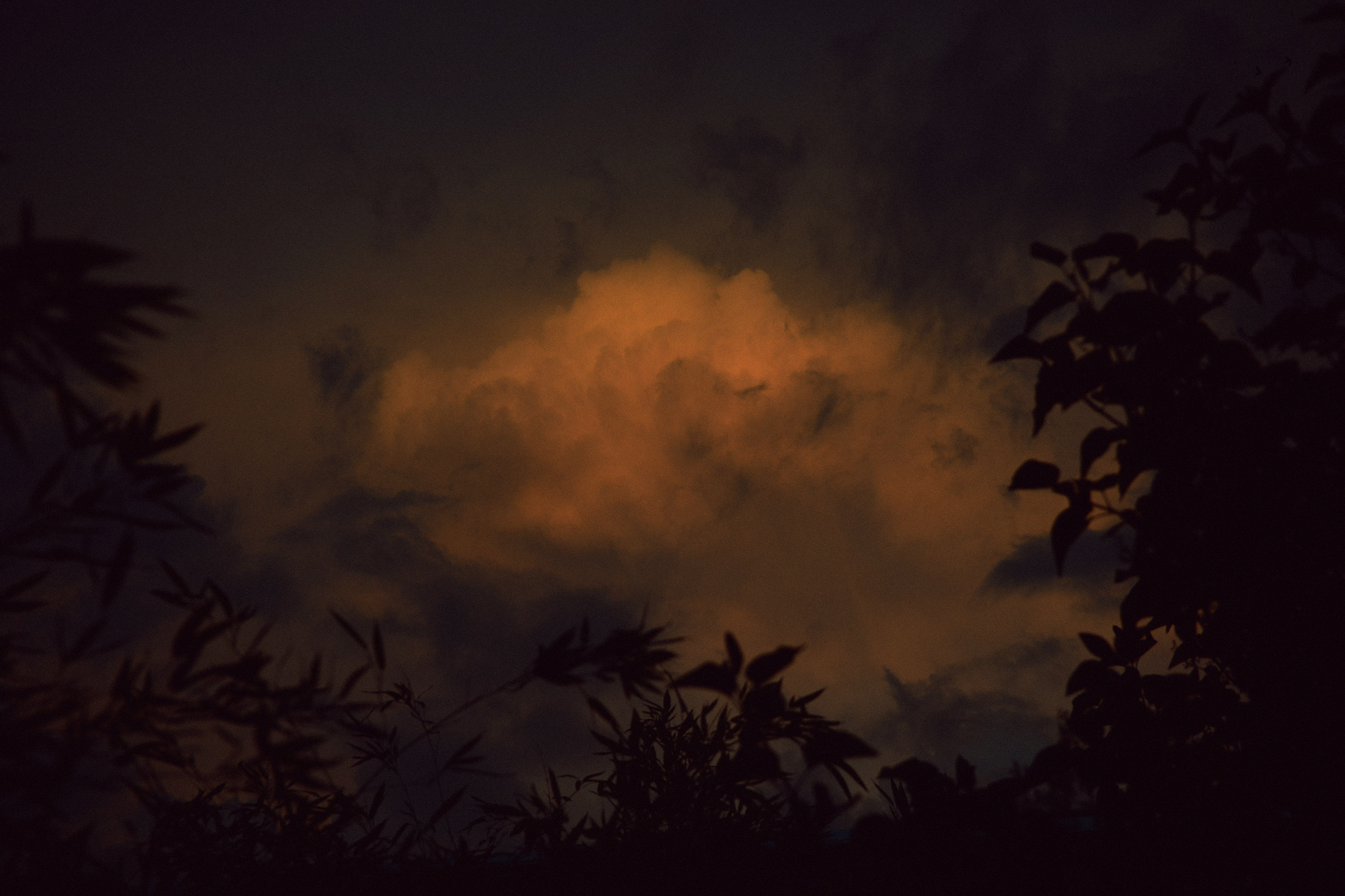 Recent Work - Mason Poole