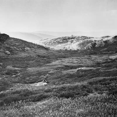 2020 Alpine Bogs and Associated Fens at The Commercial, Sydney - Amanda ...