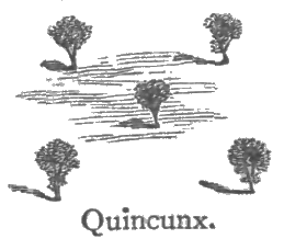QUINCUNCEs - la imagen del indigena
