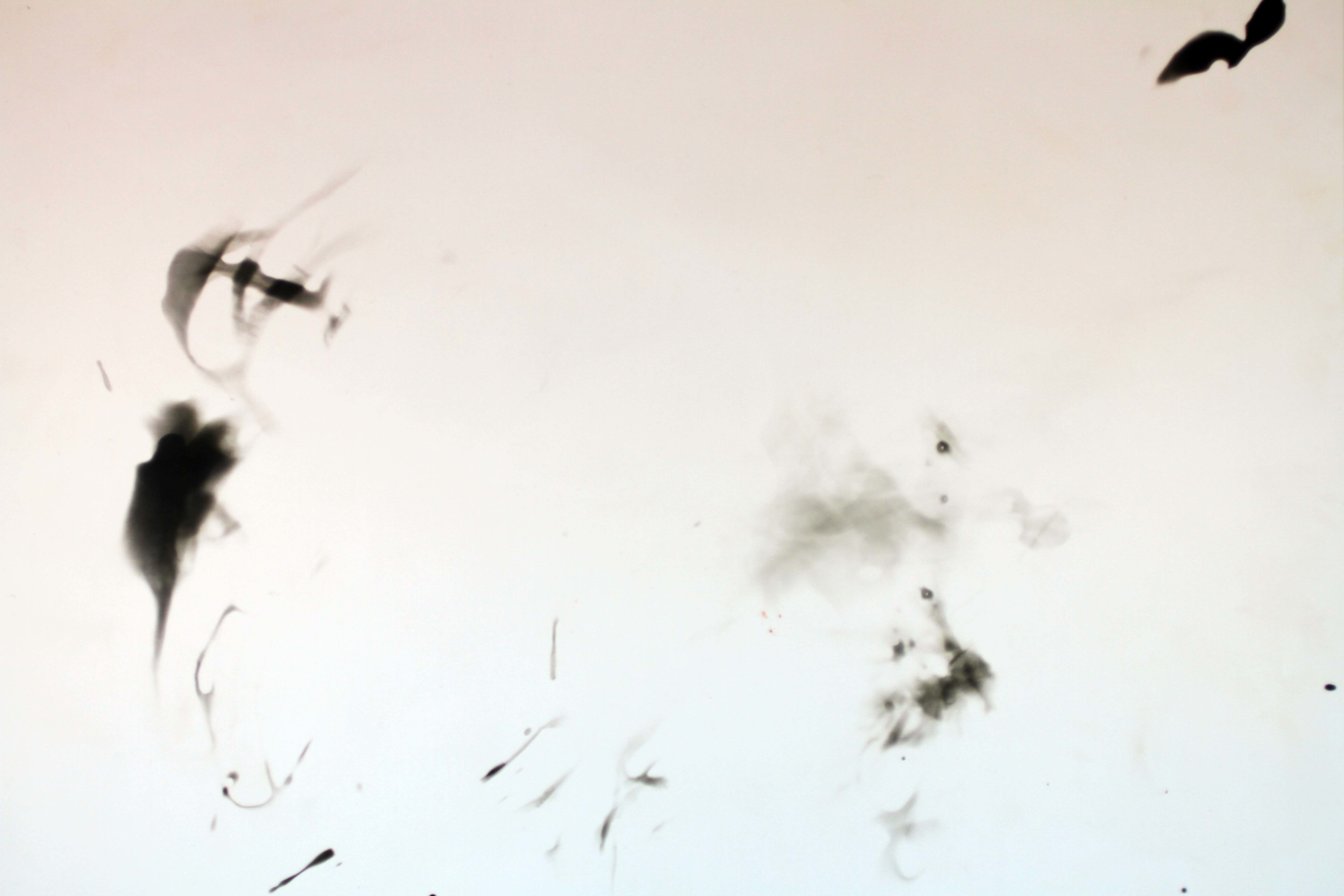 Chemigrams - Iuri Rocha