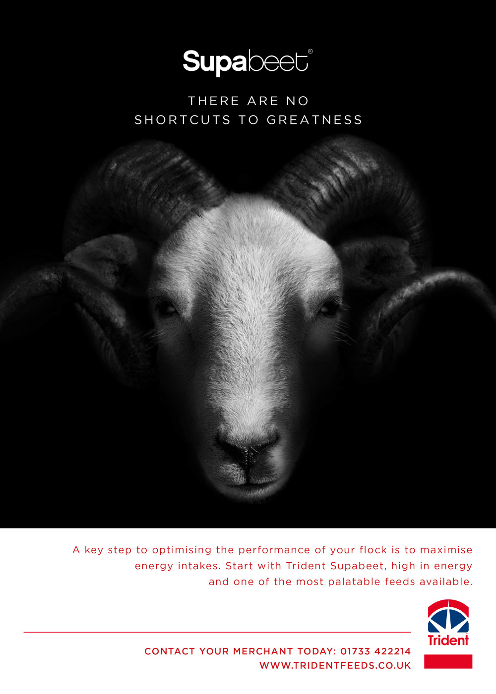 Trident Sugabeet - John Ravi