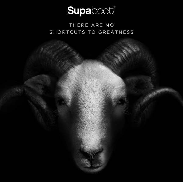 Trident Sugabeet - John Ravi