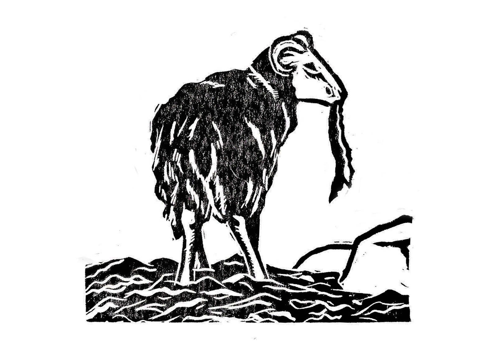 Rare Breeds Book - Imogen Louise Design