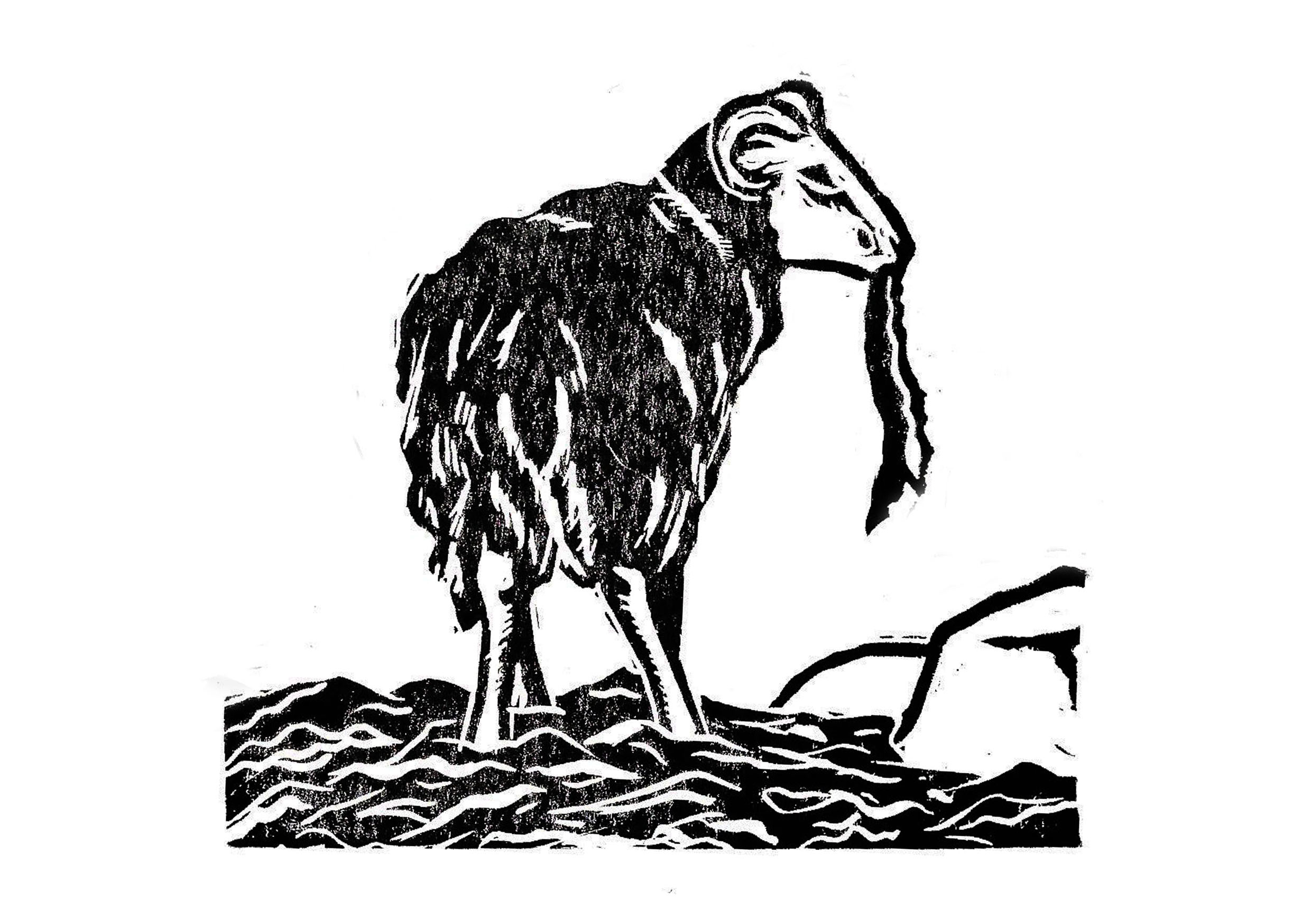 Rare Breeds Book - Imogen Louise Design