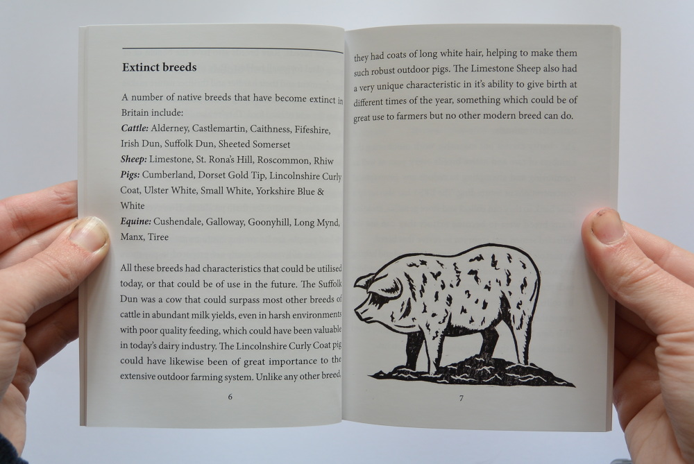 Rare Breeds Book - Imogen Louise Design