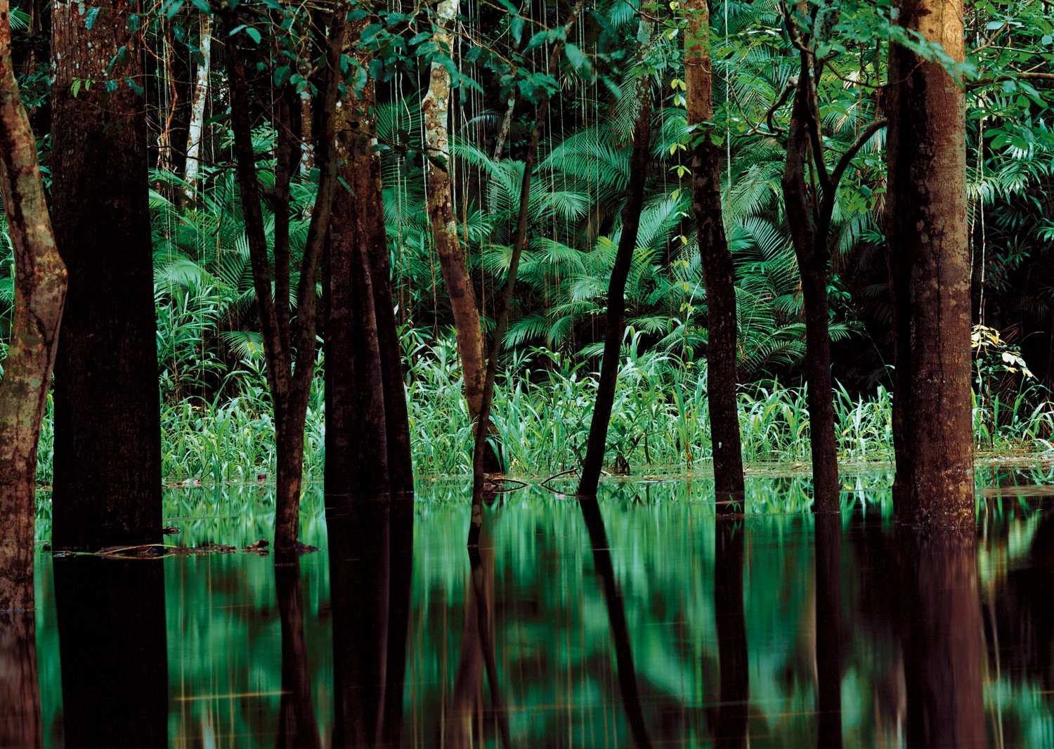 Selection of works, Axel Hütte - ATLAS OF PLACES