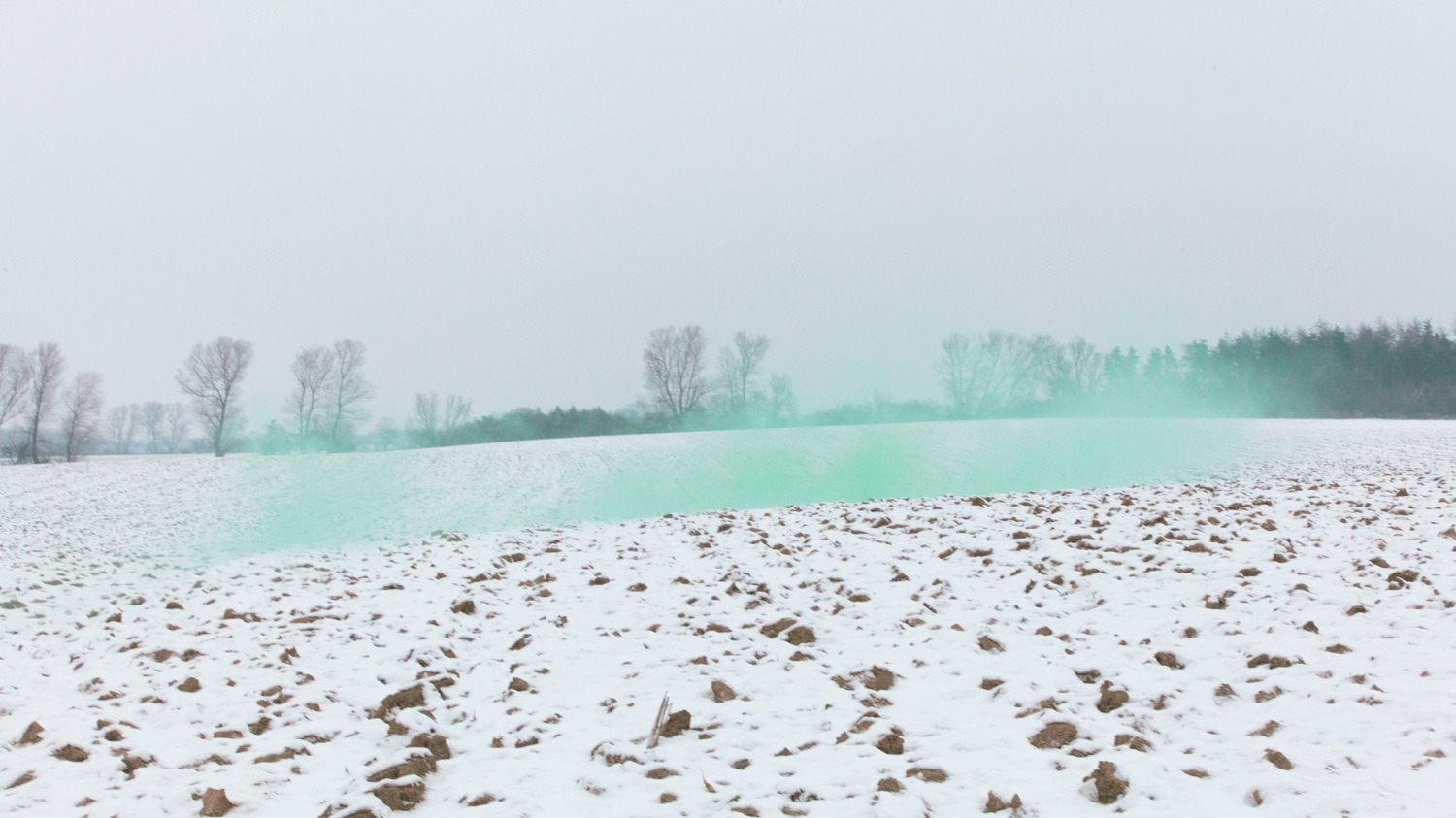 Smoky winter landscape - Michelle Berg