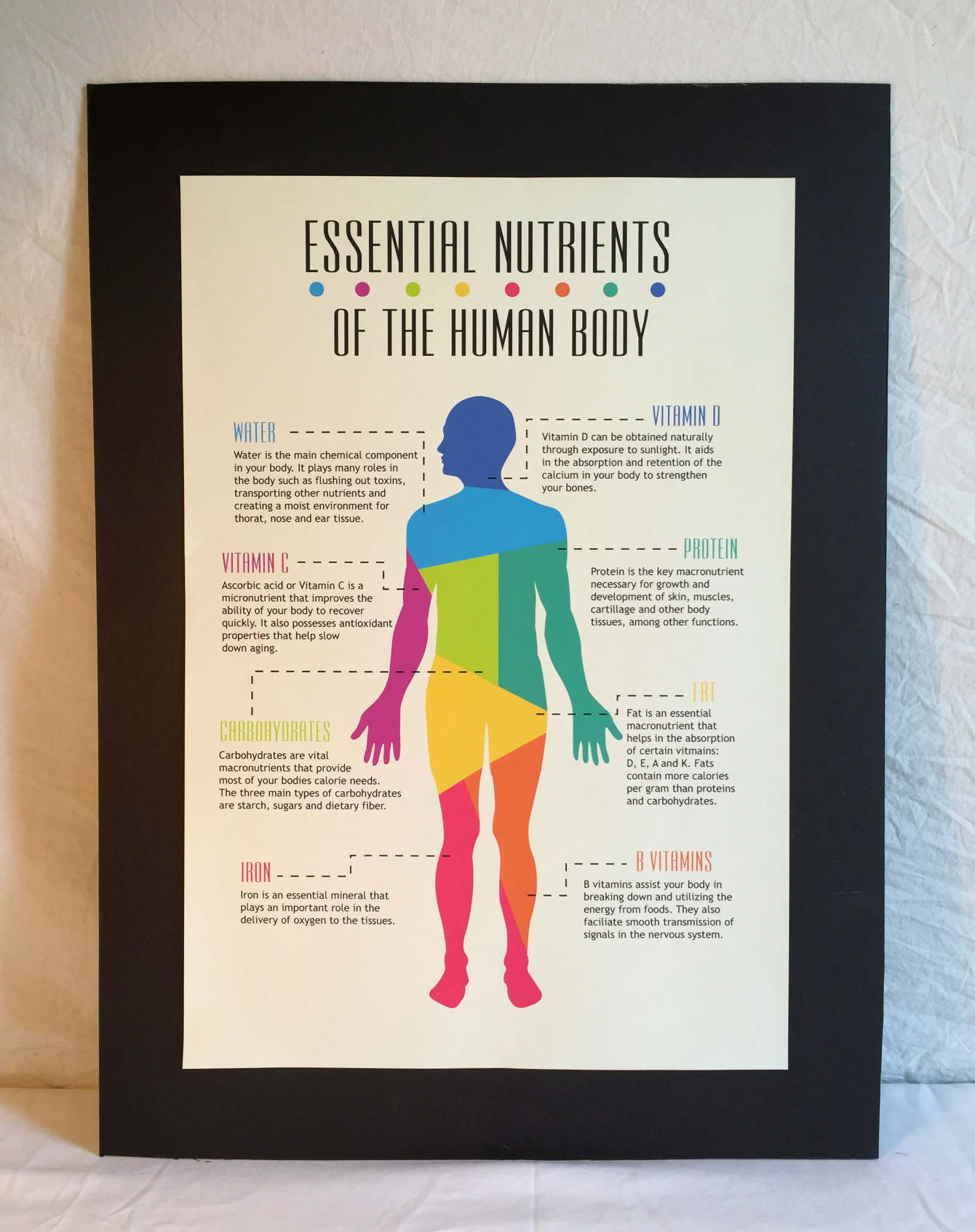 Essential Nutrients Infographic - Zac Campbell